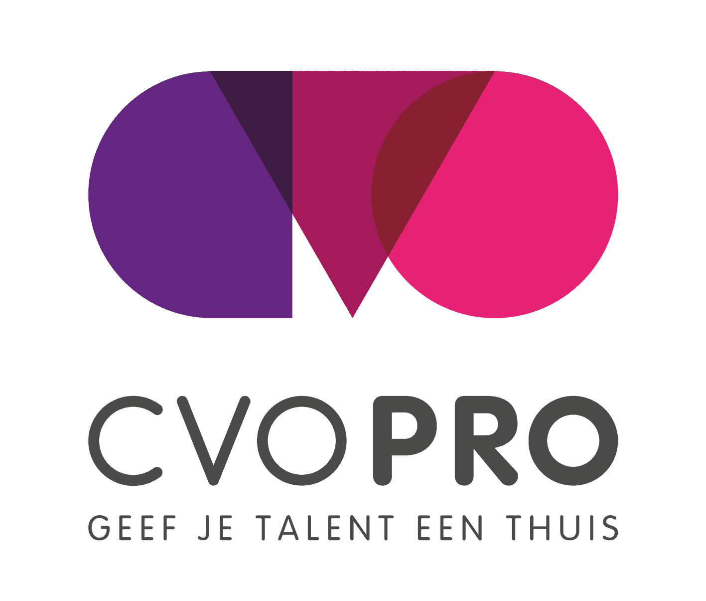 Nieuwe, korte module bij CVO PRO: opstap Spaans - GO! scholengroep Dender